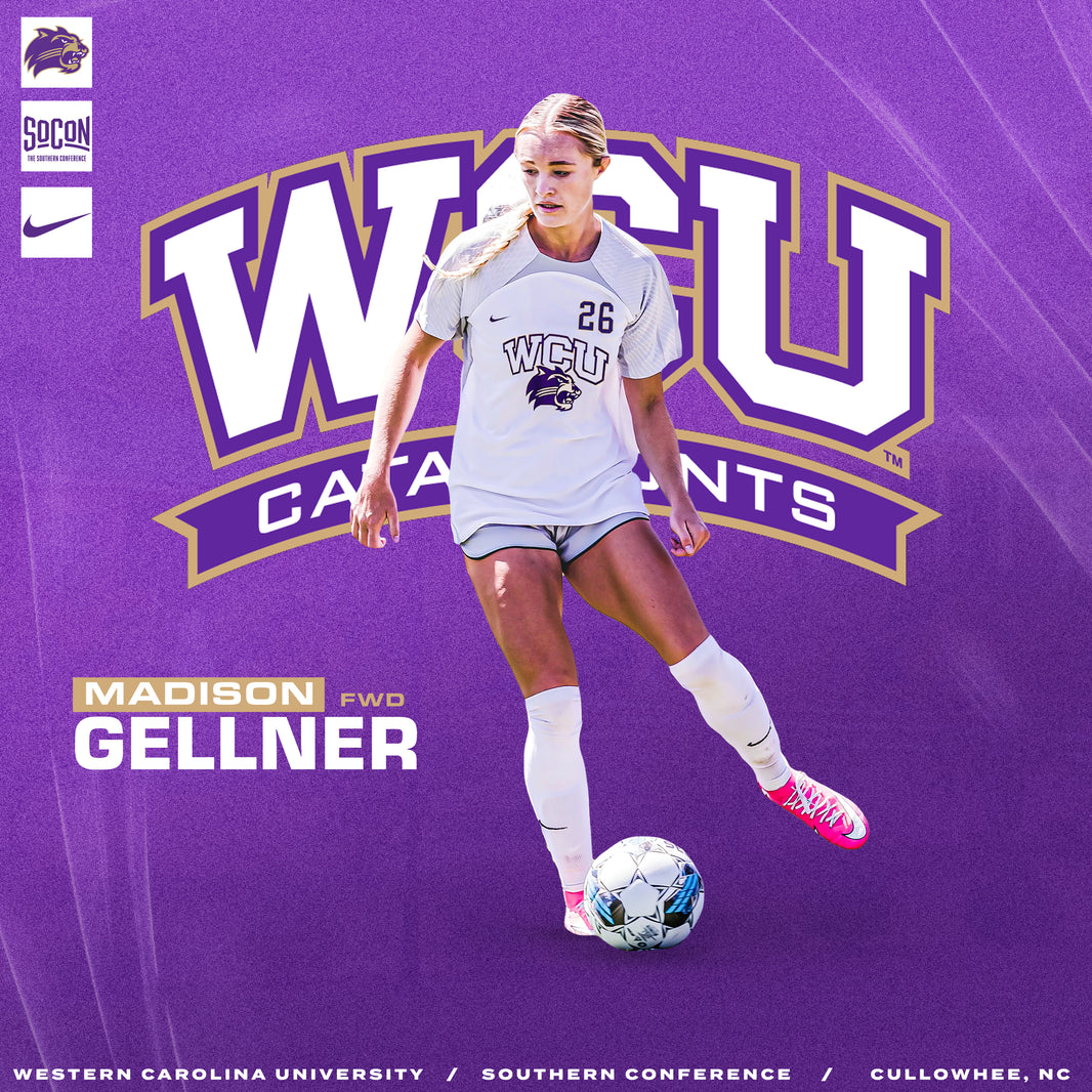 Products – DC graphics